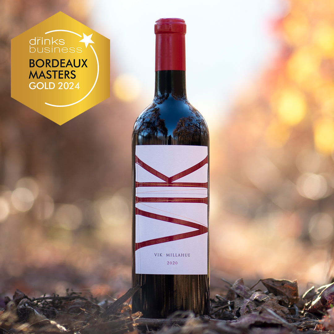 VIK 2020 - 750 ml – Vik Europe